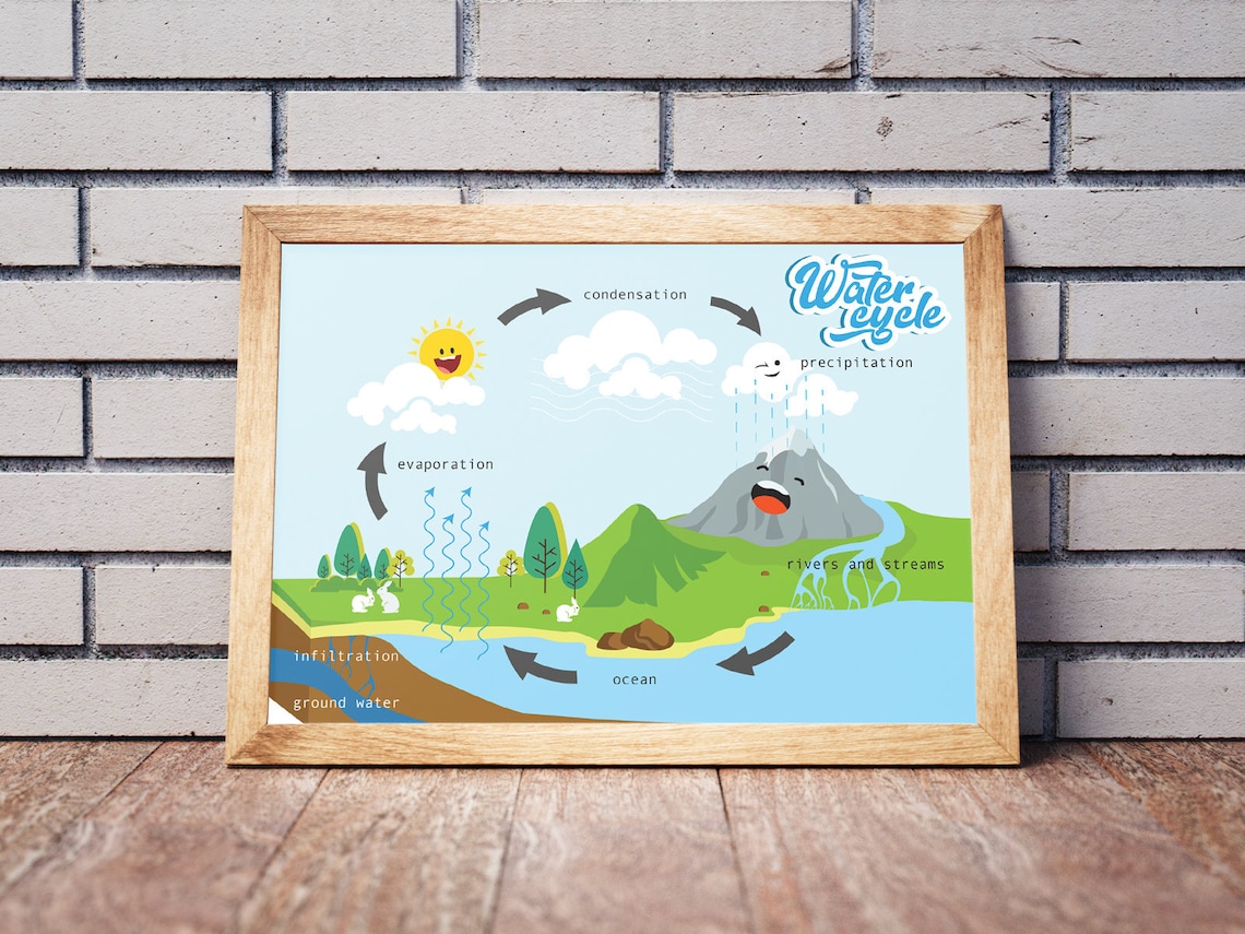 Water Cycle Poster Science Poster Educational Poster Wall | Etsy UK
