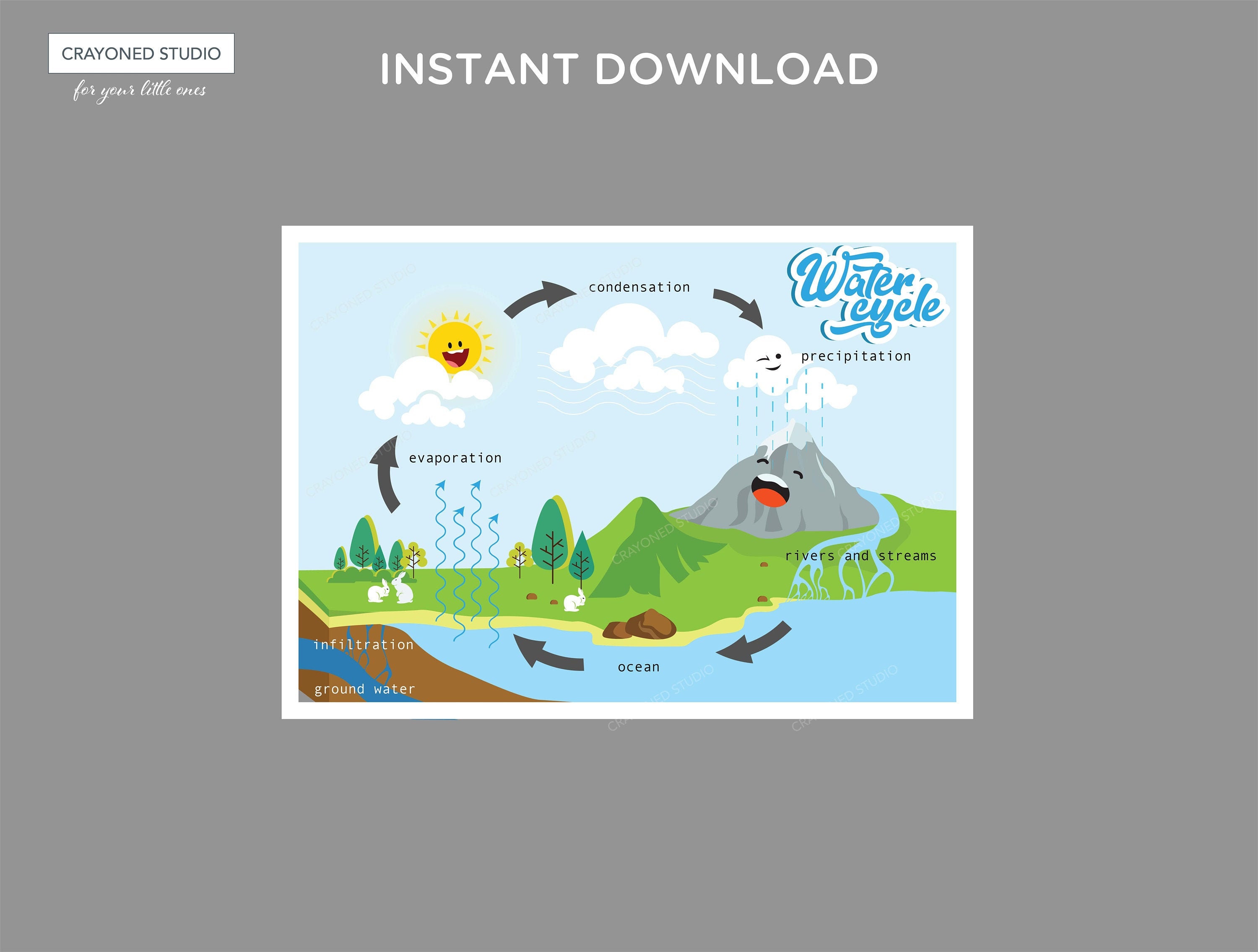 Water Cycle Poster, Science Poster, Educational Poster, Wall Decor ...