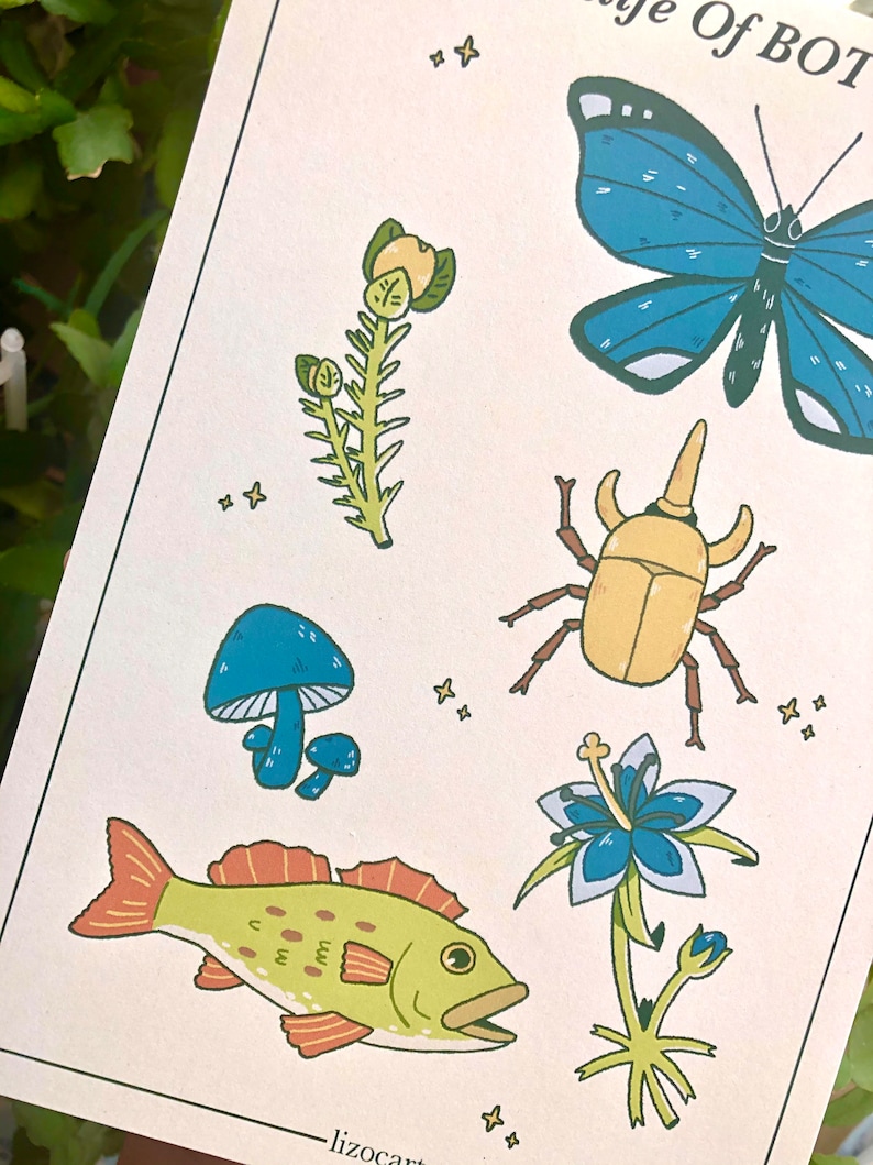 BOTW Botanical Art Print the Legend of Zelda Breath of the - Etsy