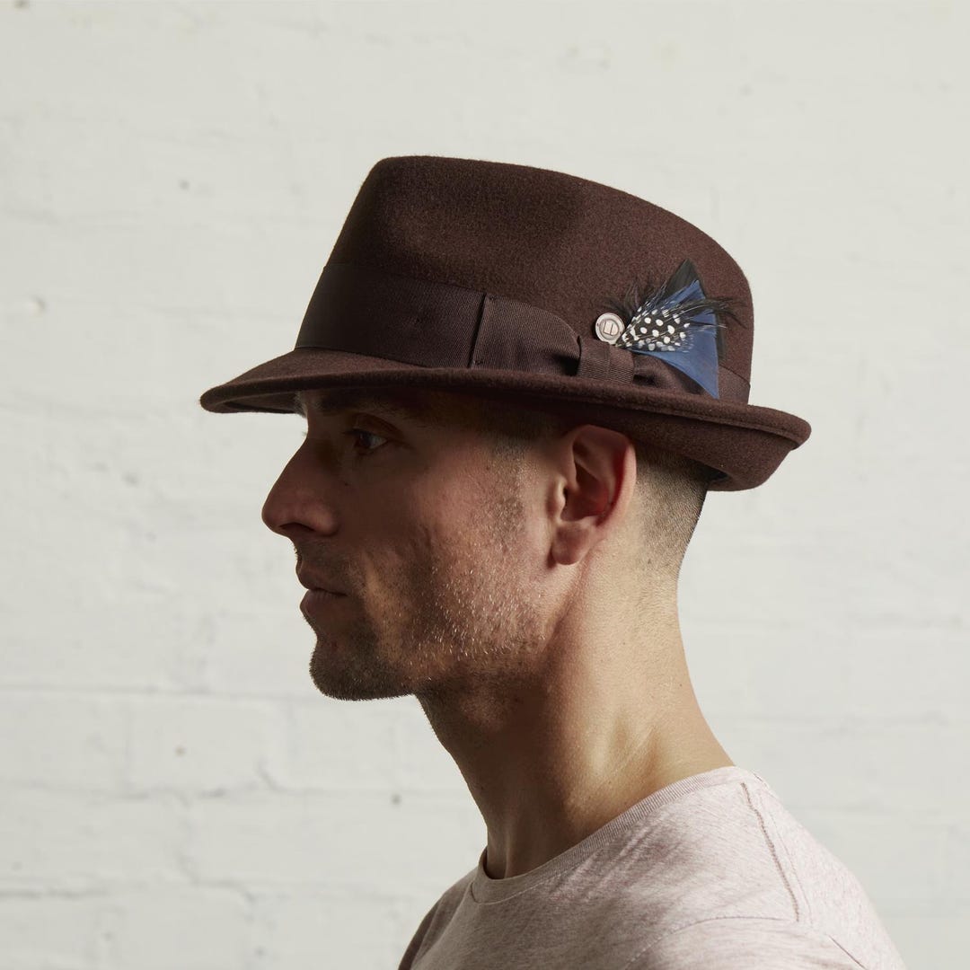 DARWIN Brown Wool Felt Trilby Hat With Feather - Etsy