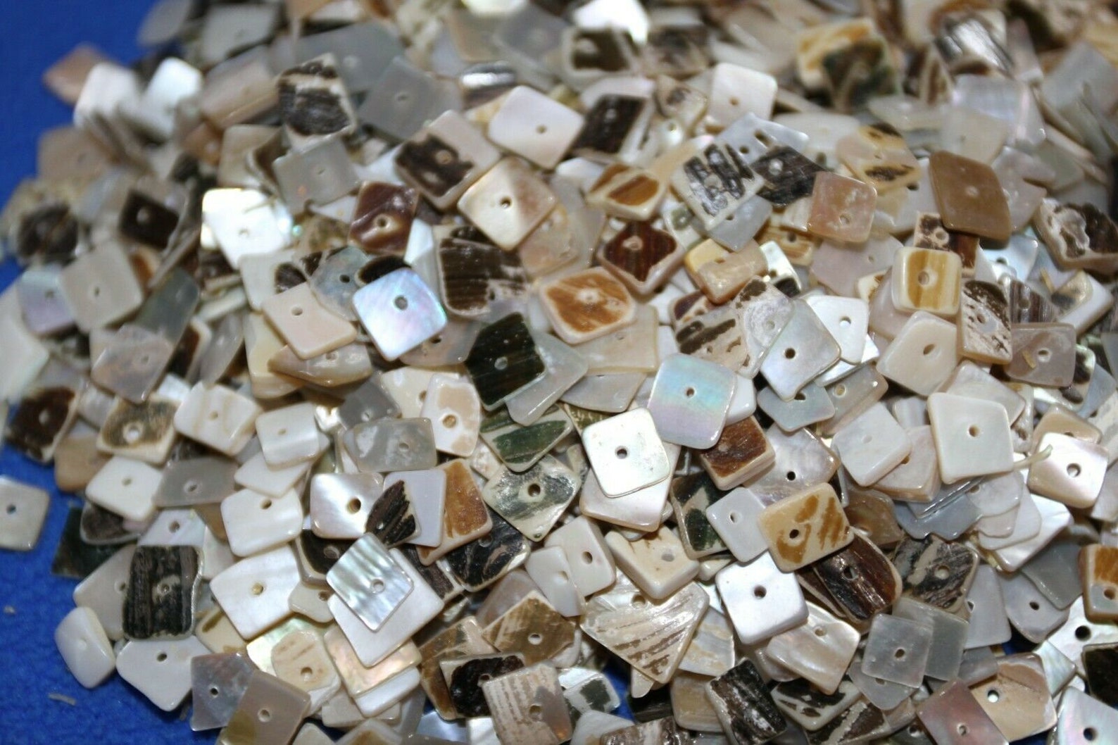 Oyster Chips Drilled Flat Small Seashells / Average Size Range - Etsy