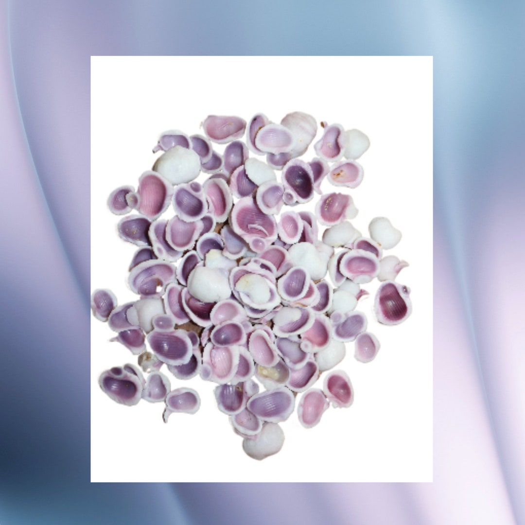 TINY CEBU BEAUTY, Cut Seashells, Jewelry, Mosaics, Greeting Cards ...