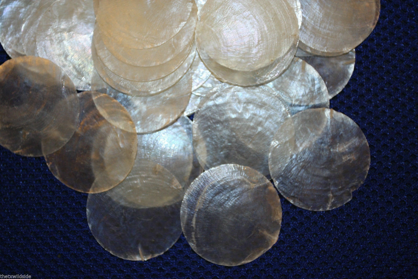 Capiz Shells / Quantity Discount Priced 1 1/2 Inch CZ-321 | Etsy