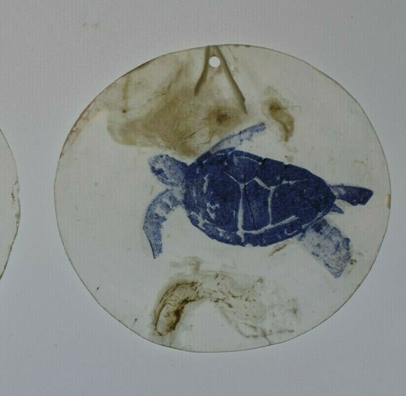 Flat White Round Capiz Shells Hole on Top SS-127 | Etsy