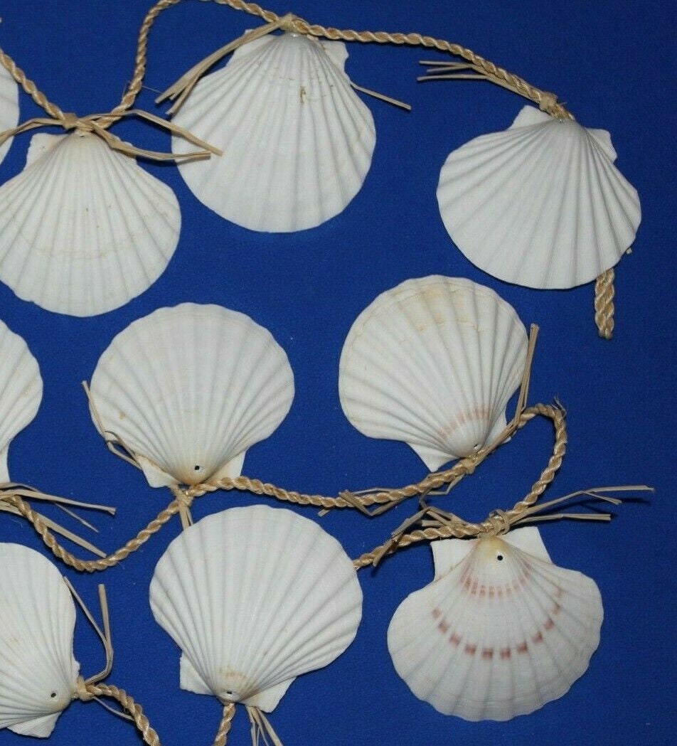 Seashell Mailbox Post Decor Large Garland Natural Handmade - Etsy