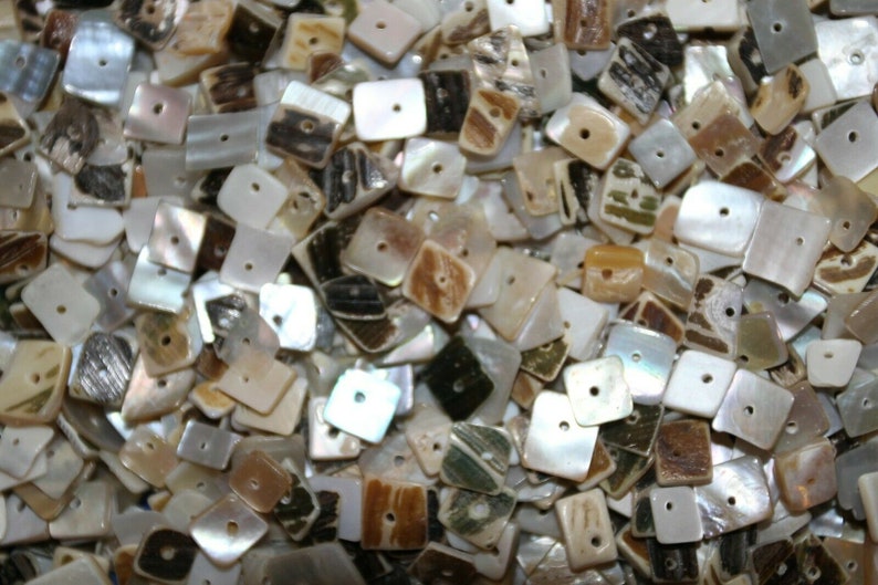 Oyster Chips Drilled Flat Small Seashells / Average Size Range - Etsy