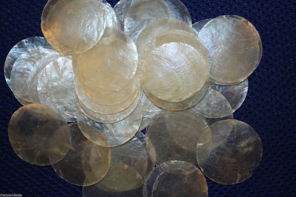 Capiz Shells / Quantity Discount Priced 1 1/2 Inch CZ-321 | Etsy