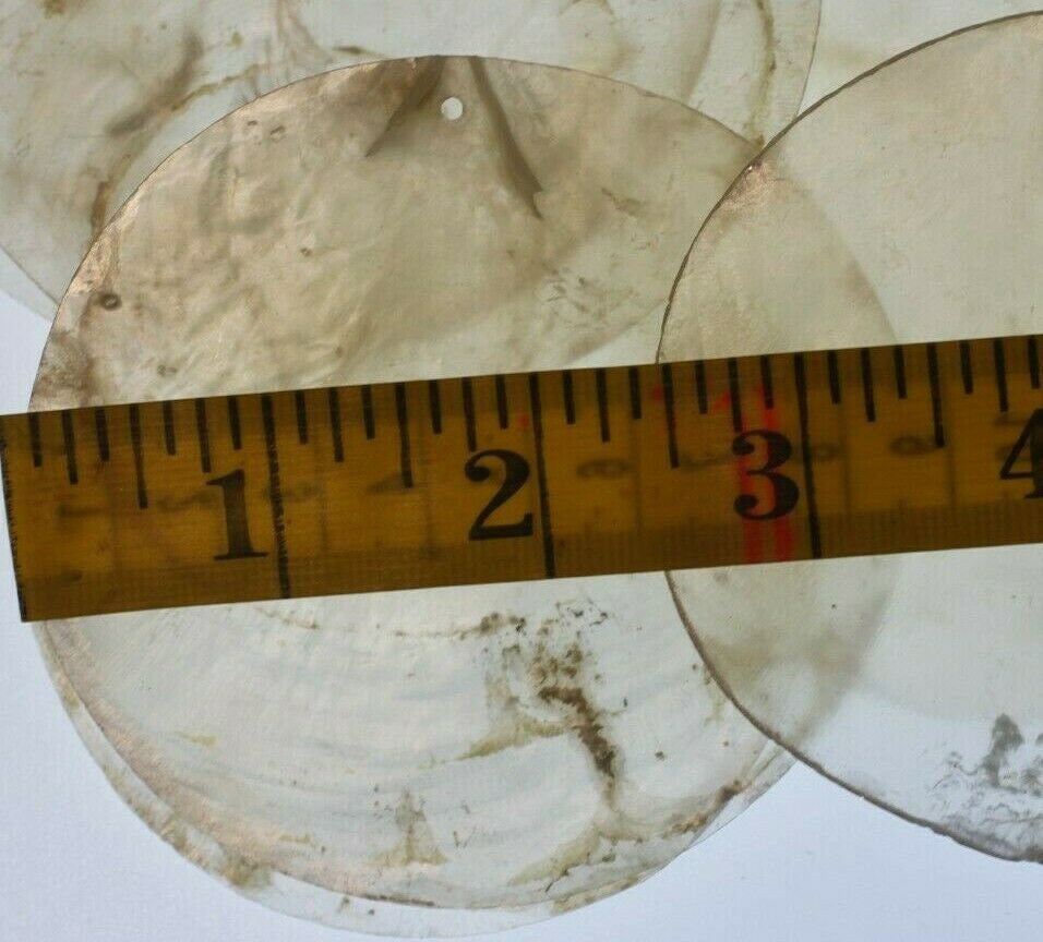 Flat White Round Capiz Shells Hole on Top SS-127 | Etsy