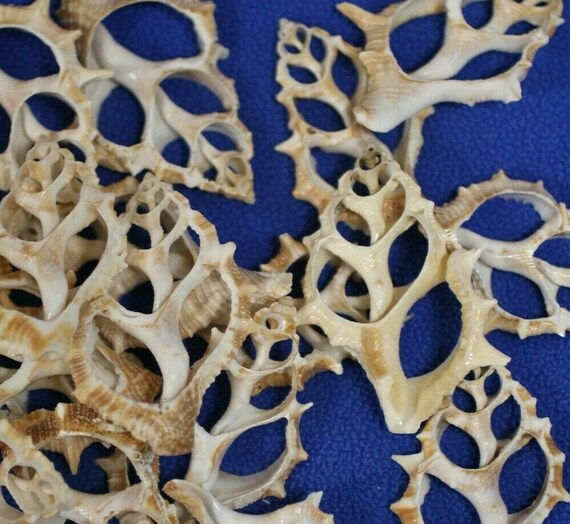 Mosaic Making Craft Supplies & Tools Sculpting & Forming Bursa Rana ...