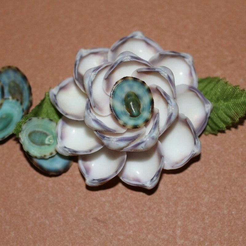 Green Seashells - Etsy