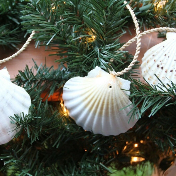 Seashell Swags - Etsy