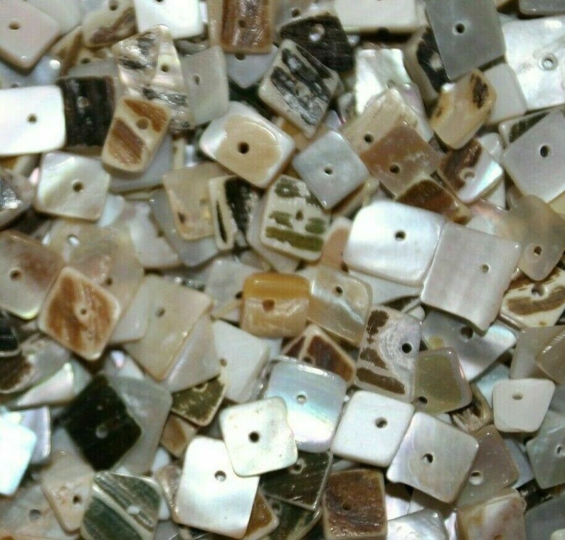 Oyster Chips Drilled Flat Small Seashells / Average Size Range - Etsy