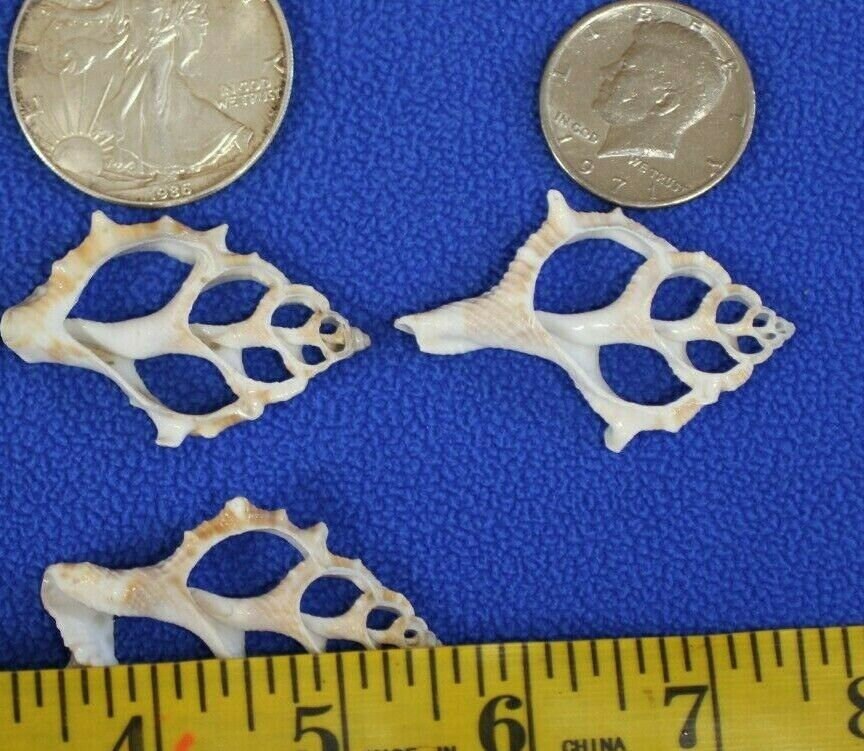 Mosaic Making Craft Supplies & Tools Sculpting & Forming Bursa Rana ...