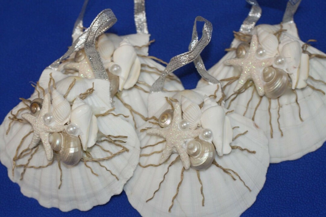 Upscale Beach Wedding Seashell Gifts for Guests Keepsakes - Etsy