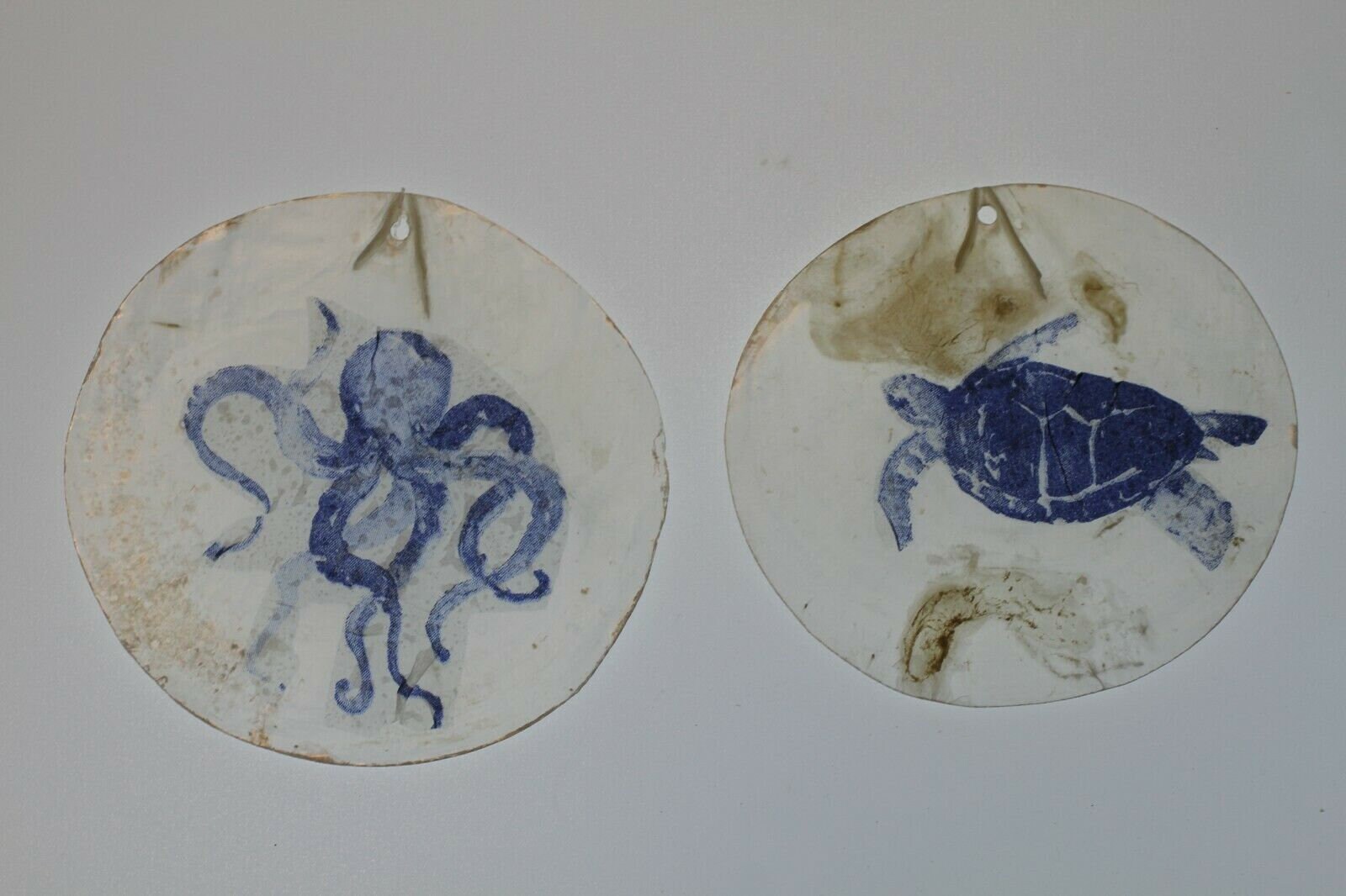 Flat White Round Capiz Shells Hole on Top SS-127 | Etsy