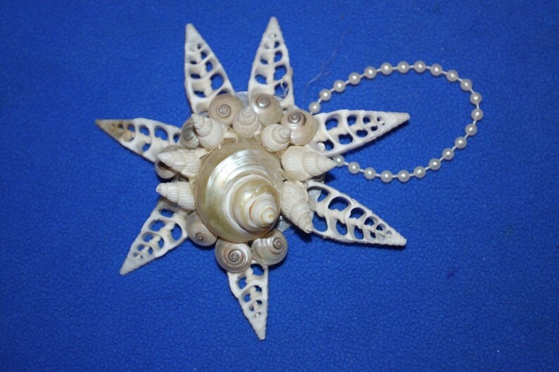 Capiz Shells / Quantity Discount Priced 1 1/2 Inch CZ-321 | Etsy