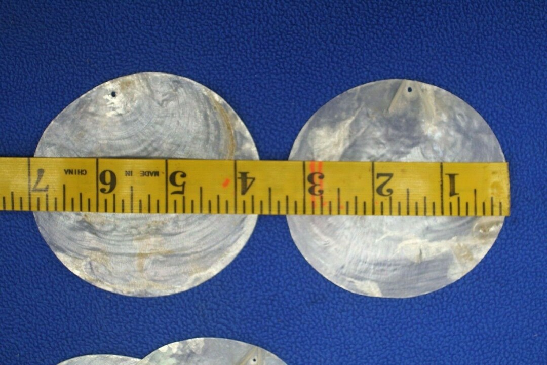 Flat White Round Capiz Shells Hole on Top SS-127 Fast Free Shipping - Etsy