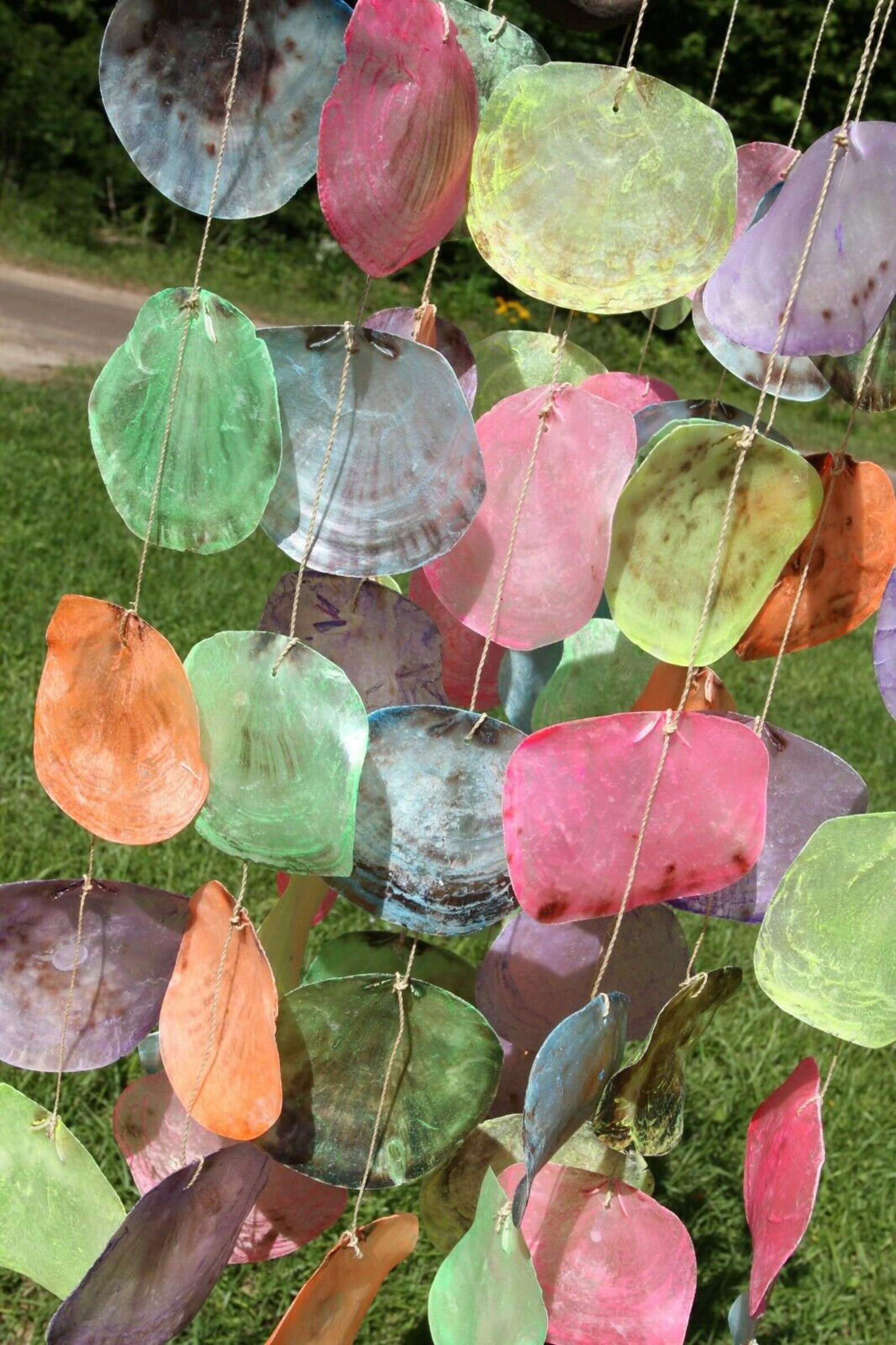 Colorful Seashell Wind Chime / Tinkling Tropical Sounds From - Etsy