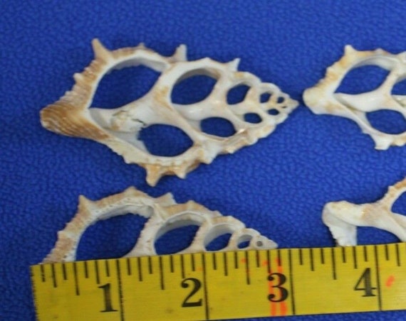 Mosaic Making Craft Supplies & Tools Sculpting & Forming Bursa Rana ...