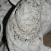 1 Inch to 3 Inch Size Range, Tumbled Oyster Shells, Small Fast Free ...