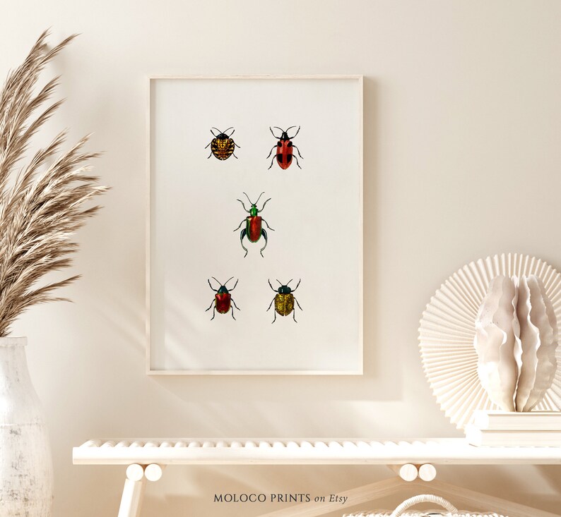 Antique Beetles Vintage Bug Insect Poster Animal Decor | Etsy