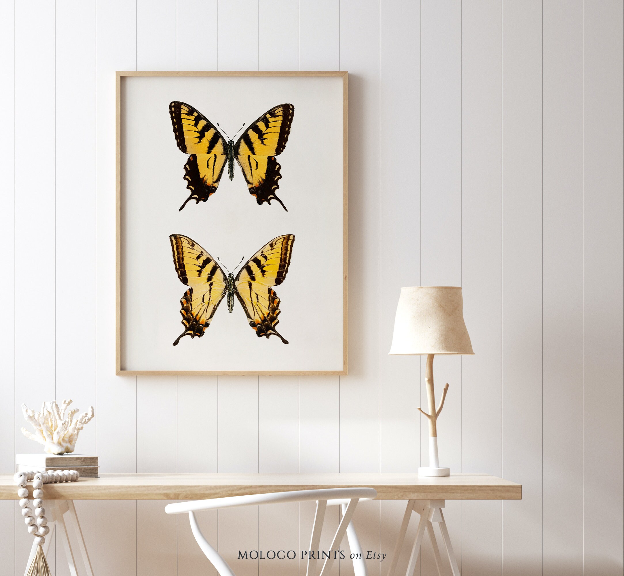 Turnus Butterfly Vintage Bug Insect Poster Animal Decor | Etsy