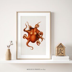 Red Octopus, Vintage Animal Print, Nautical Coastal Poster, Printable ...