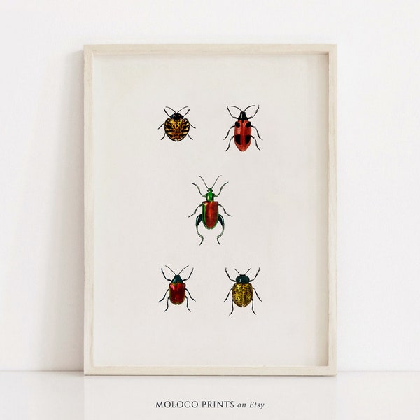 Bug Art Print - Etsy