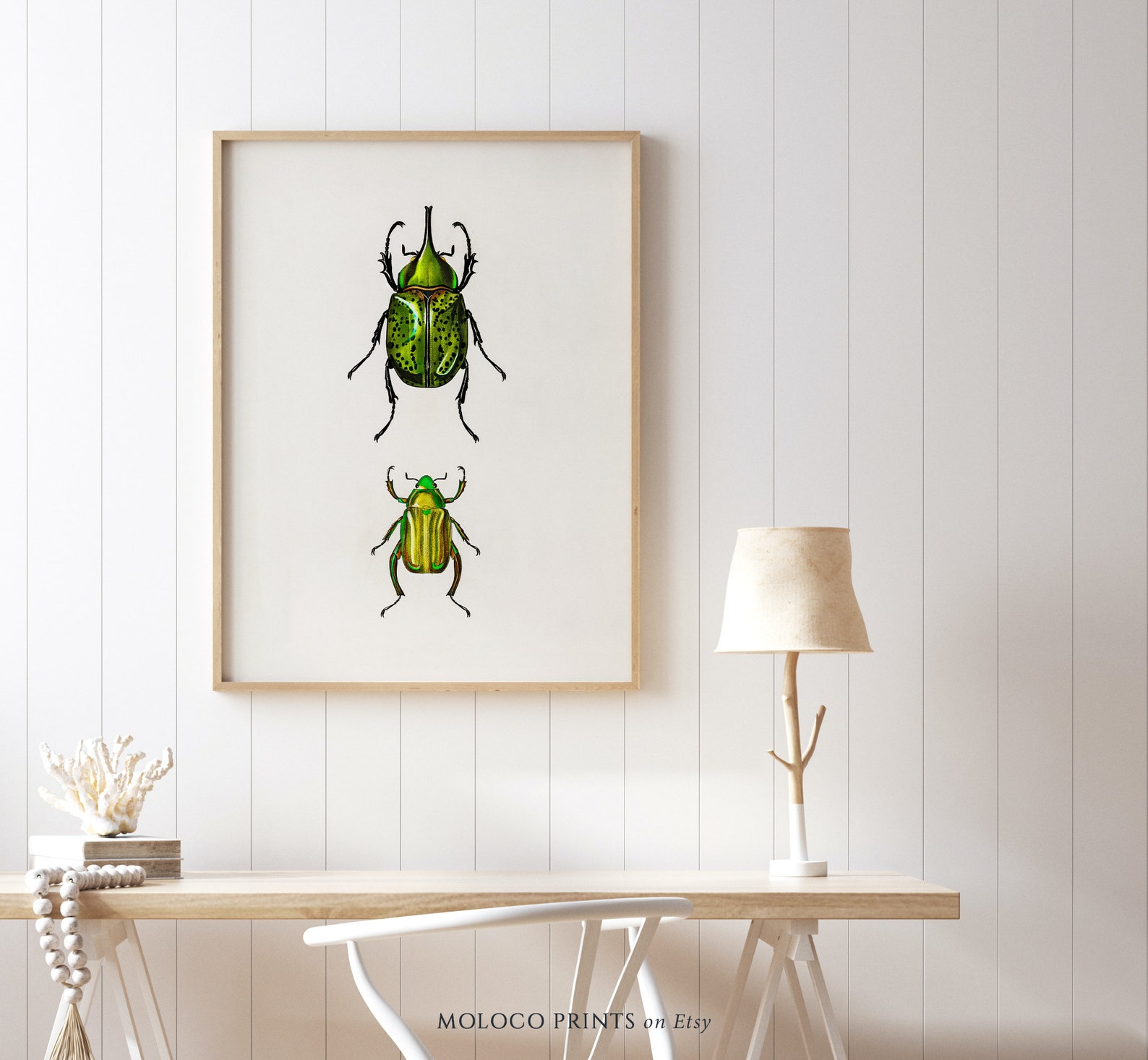 Scarab Beetle Vintage Bug Insect Poster Animal Decor | Etsy