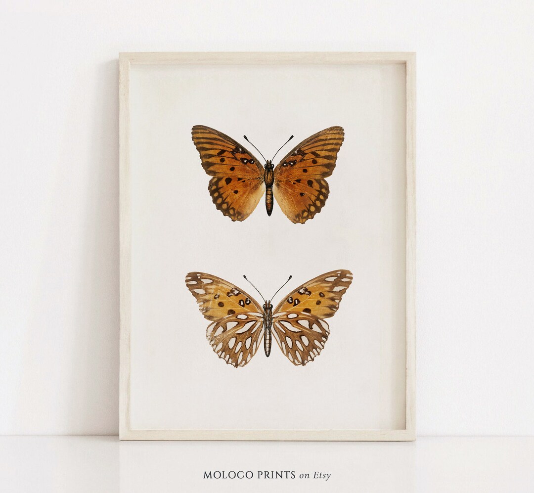 Passion Butterfly, Vintage Bug Insect Poster, Animal Decor, Printable ...