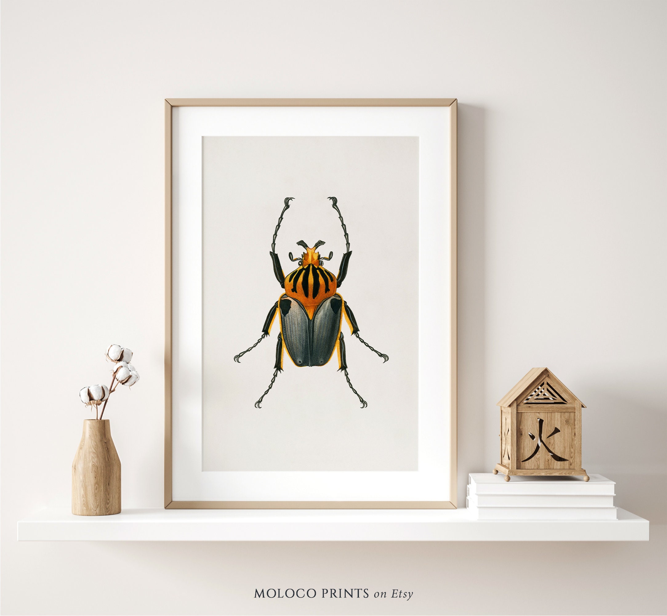 Goliath Beetle Vintage Bug Insect Poster Animal Decor Gift | Etsy