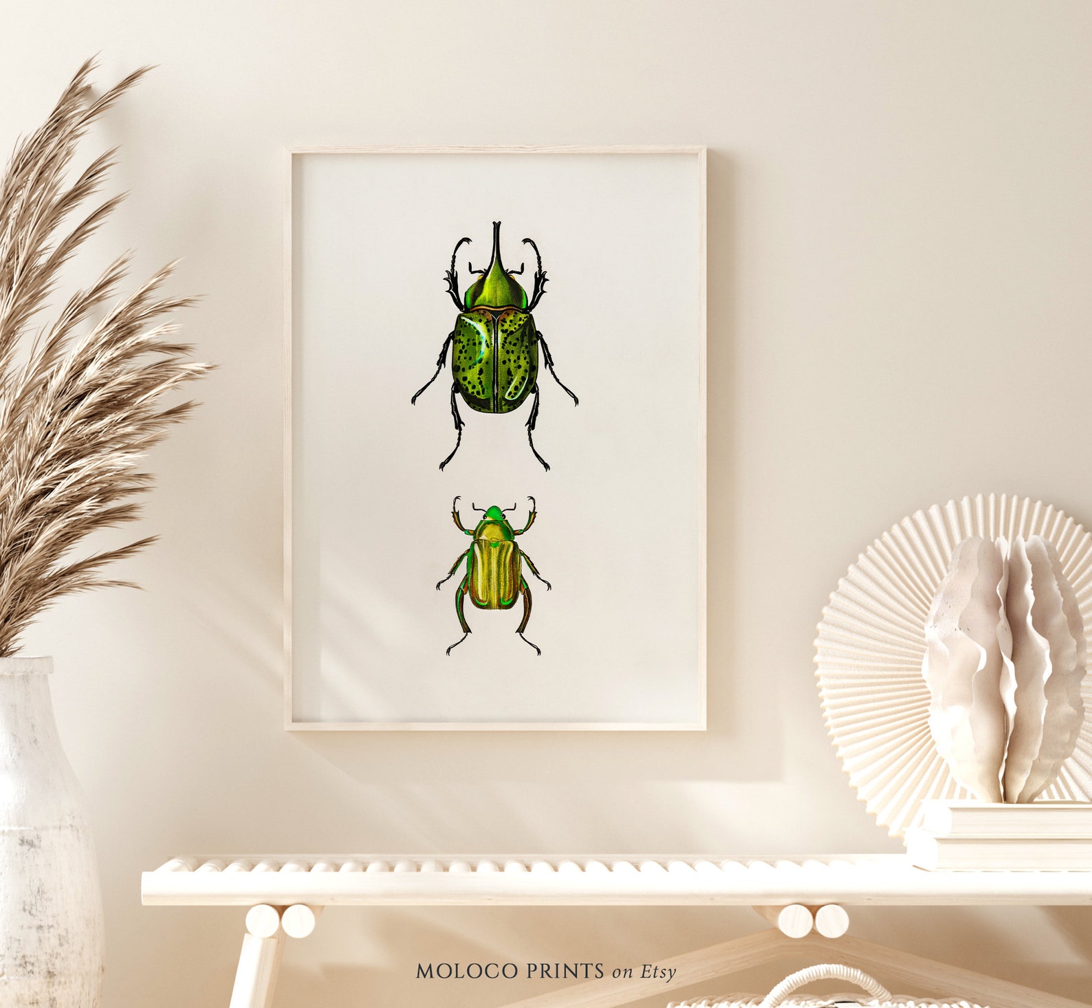 Scarab Beetle Vintage Bug Insect Poster Animal Decor | Etsy