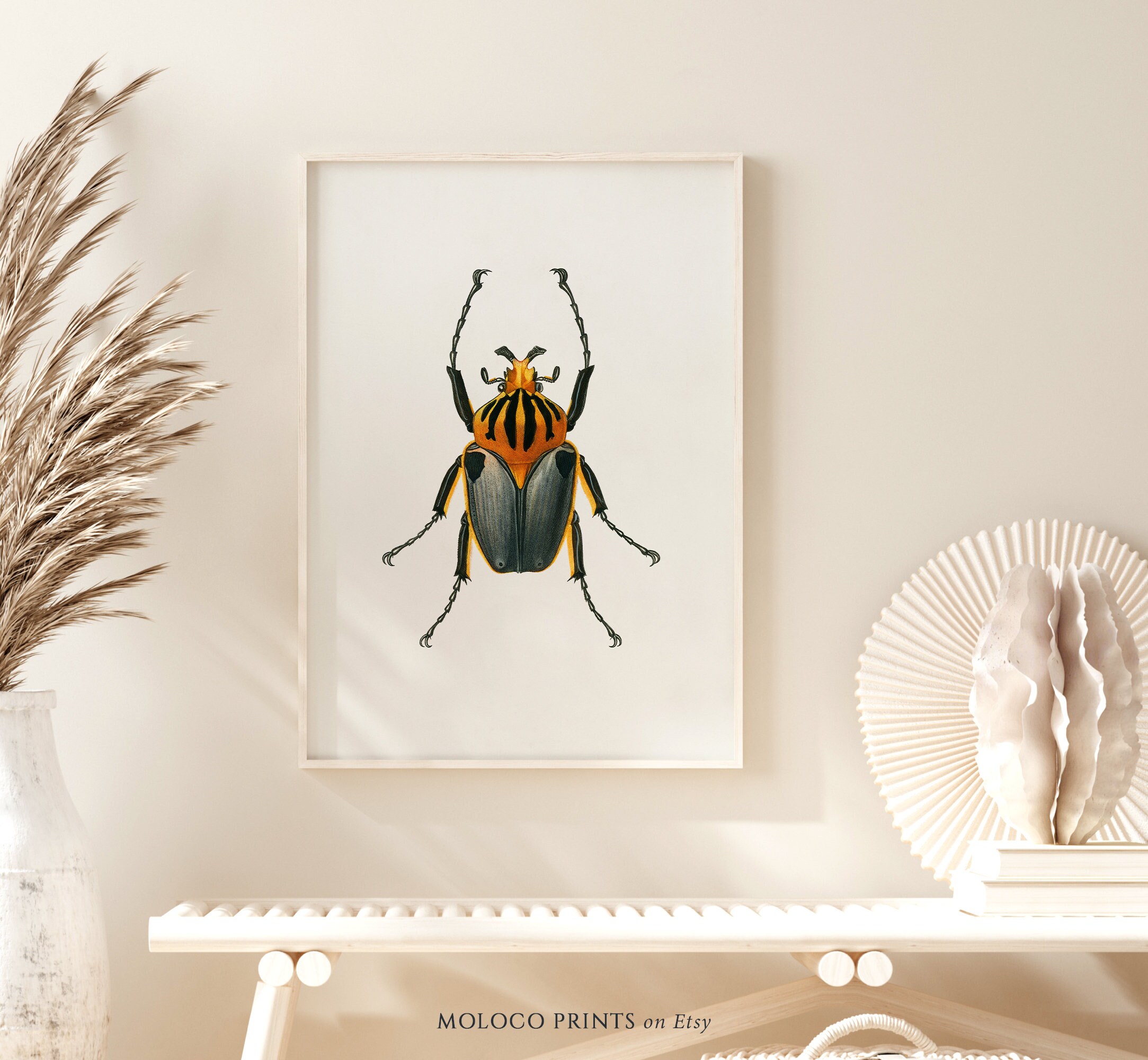 Goliath Beetle Vintage Bug Insect Poster Animal Decor Gift | Etsy