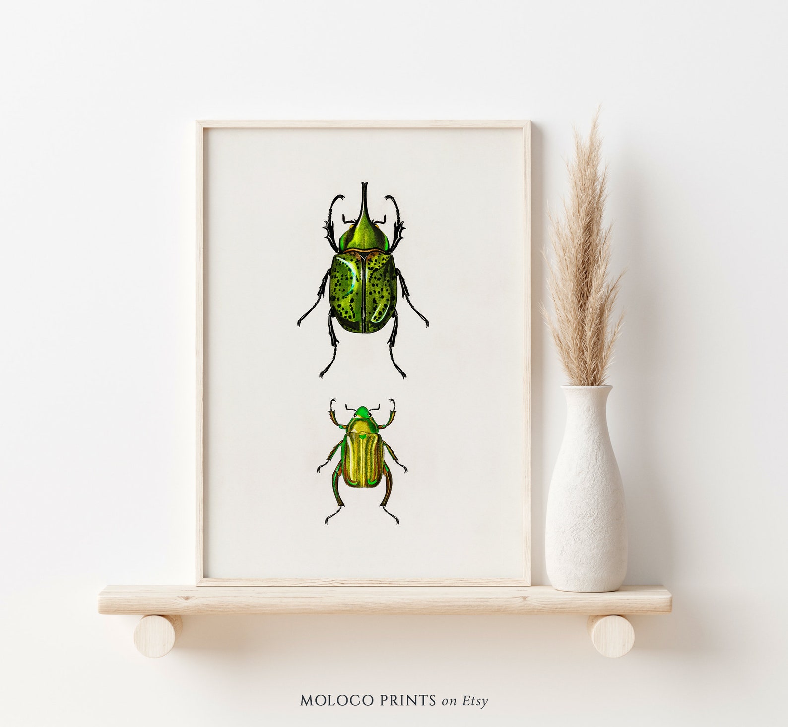 Scarab Beetle Vintage Bug Insect Poster Animal Decor | Etsy