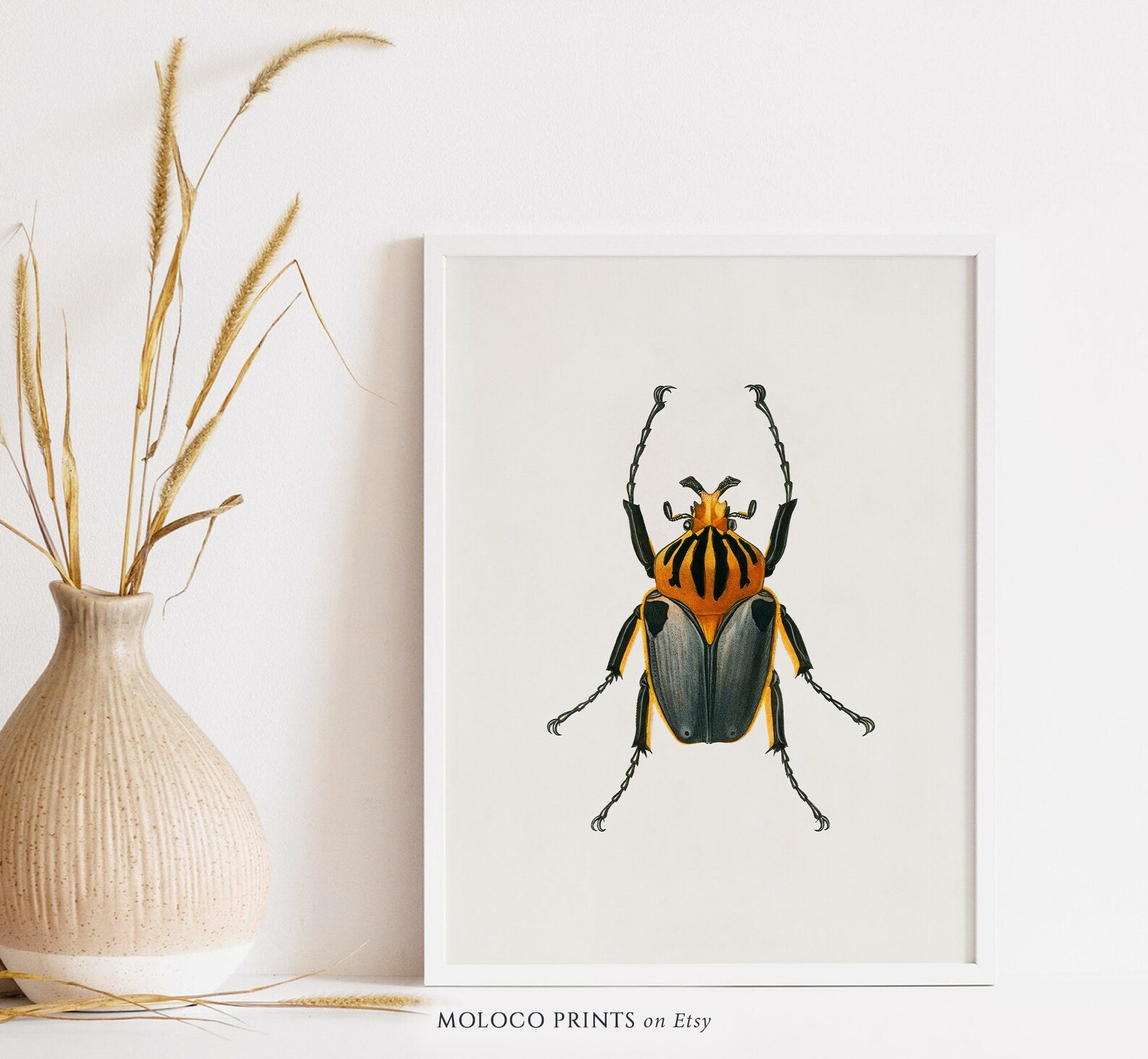 Goliath Beetle Vintage Bug Insect Poster Animal Decor Gift | Etsy