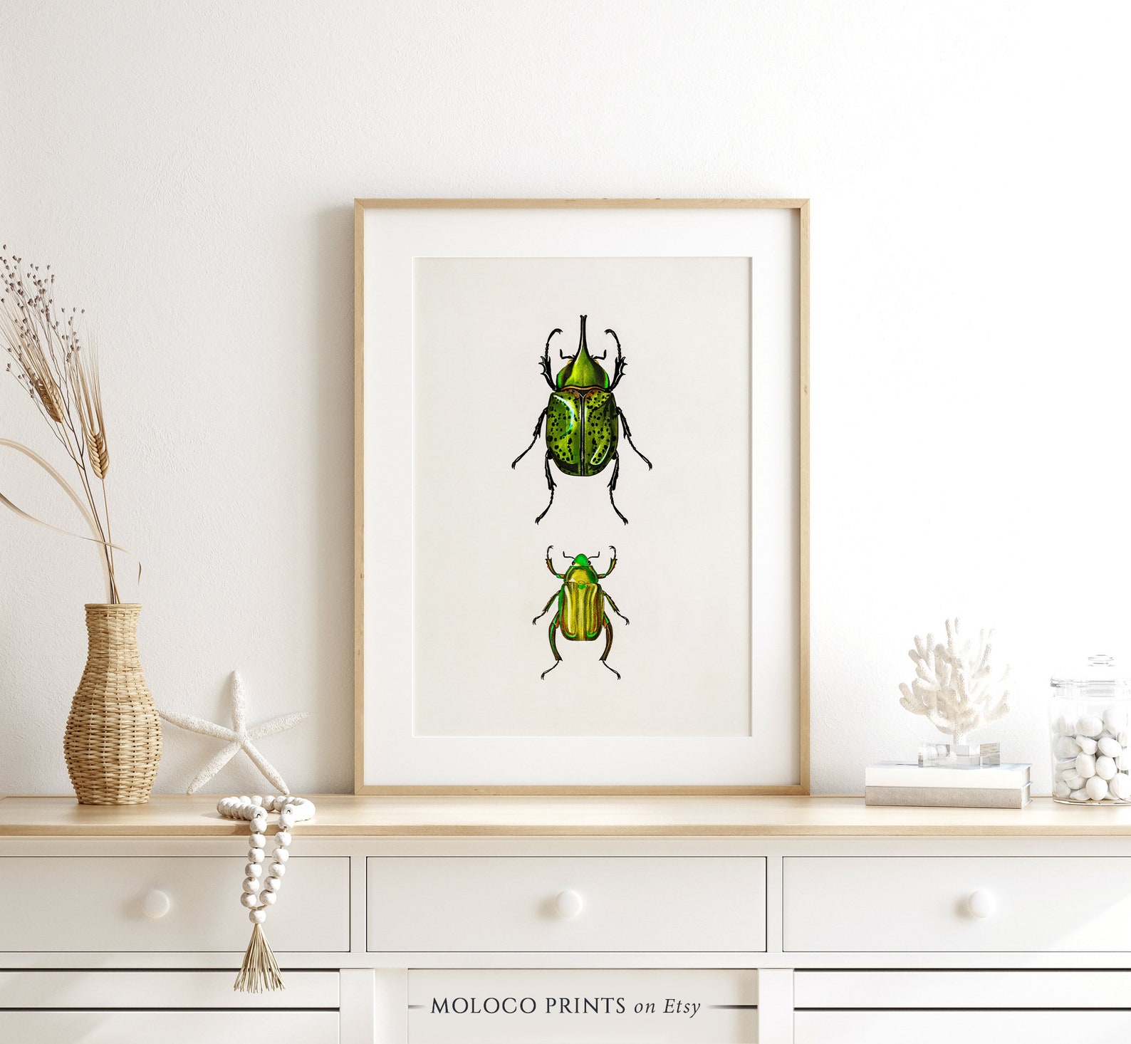 Scarab Beetle Vintage Bug Insect Poster Animal Decor - Etsy