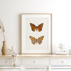 Passion Butterfly, Vintage Bug Insect Poster, Animal Decor, Printable ...