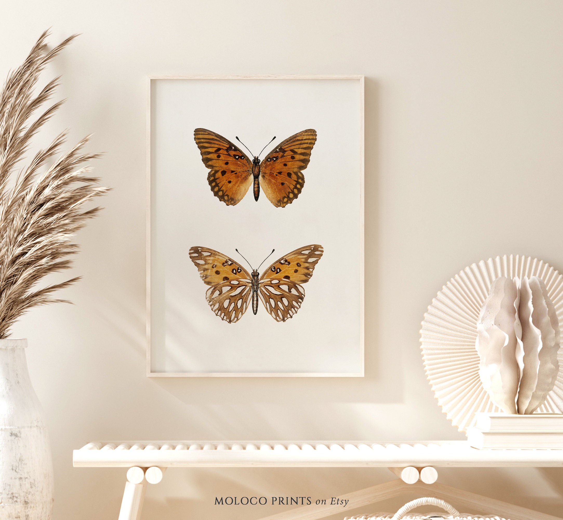 Passion Butterfly Vintage Bug Insect Poster Animal Decor | Etsy