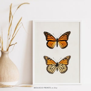Monarch Butterfly, Vintage Bug Insect Poster, Animal Decor, Printable ...