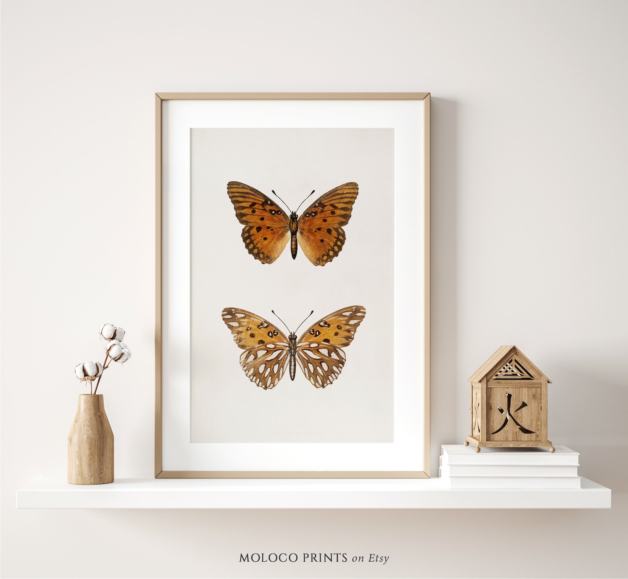 Passion Butterfly Vintage Bug Insect Poster Animal Decor | Etsy