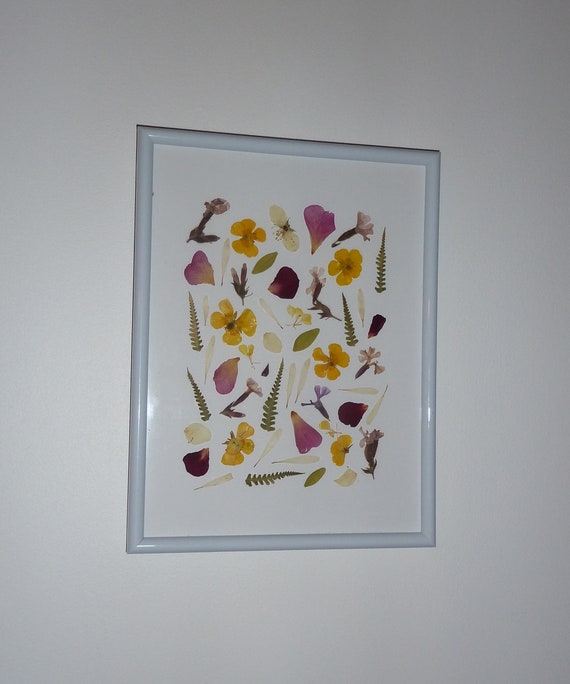 Mountain Wildflower Herbarium Frame | Etsy