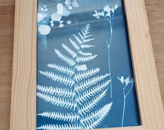 Cyanotype Print - Etsy