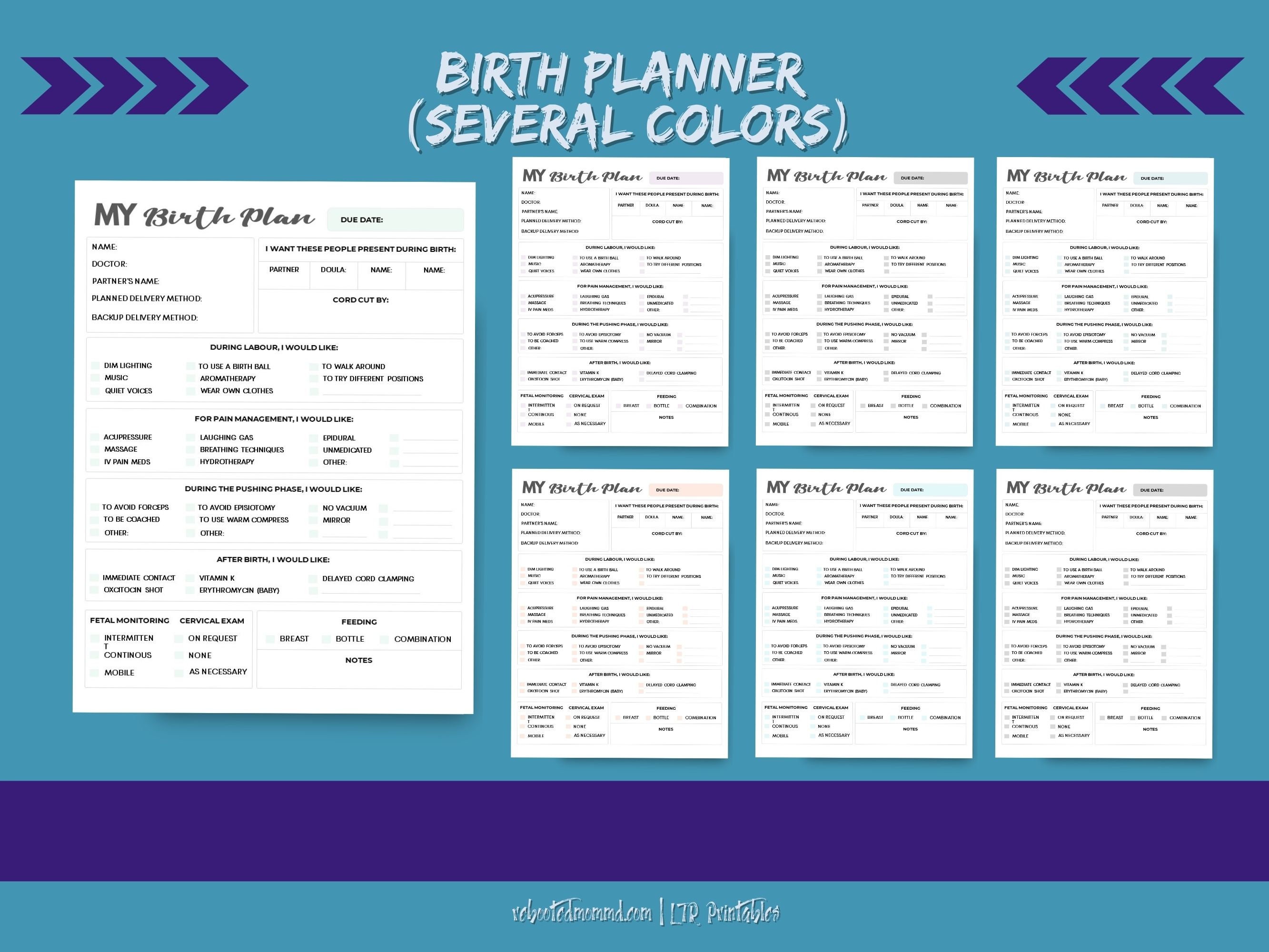 Birth Planner Page Printables Birth Journal Birth Plan Birth Memory ...