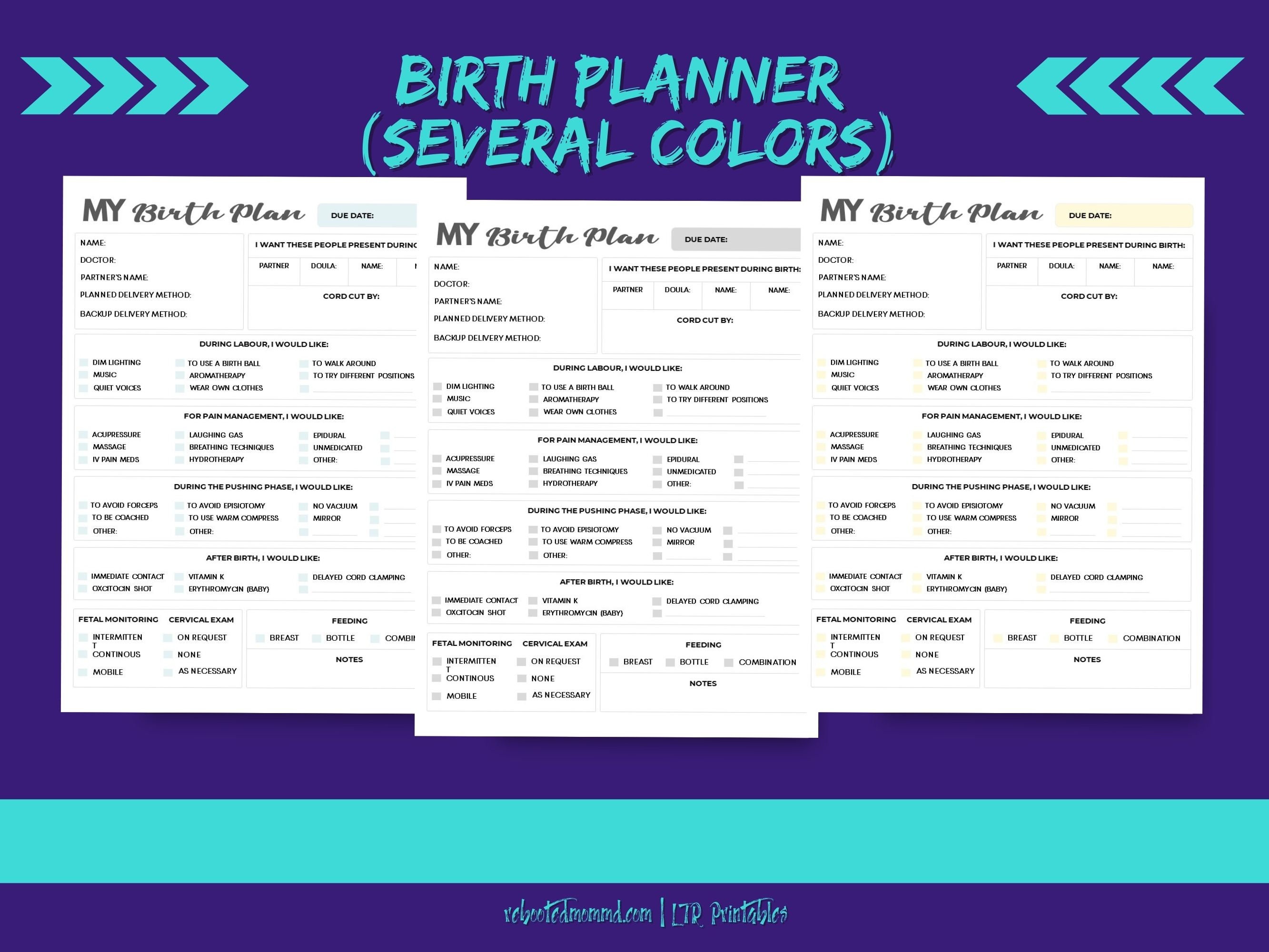 Birth Planner Page Printables Birth Journal Birth Plan Birth Memory ...