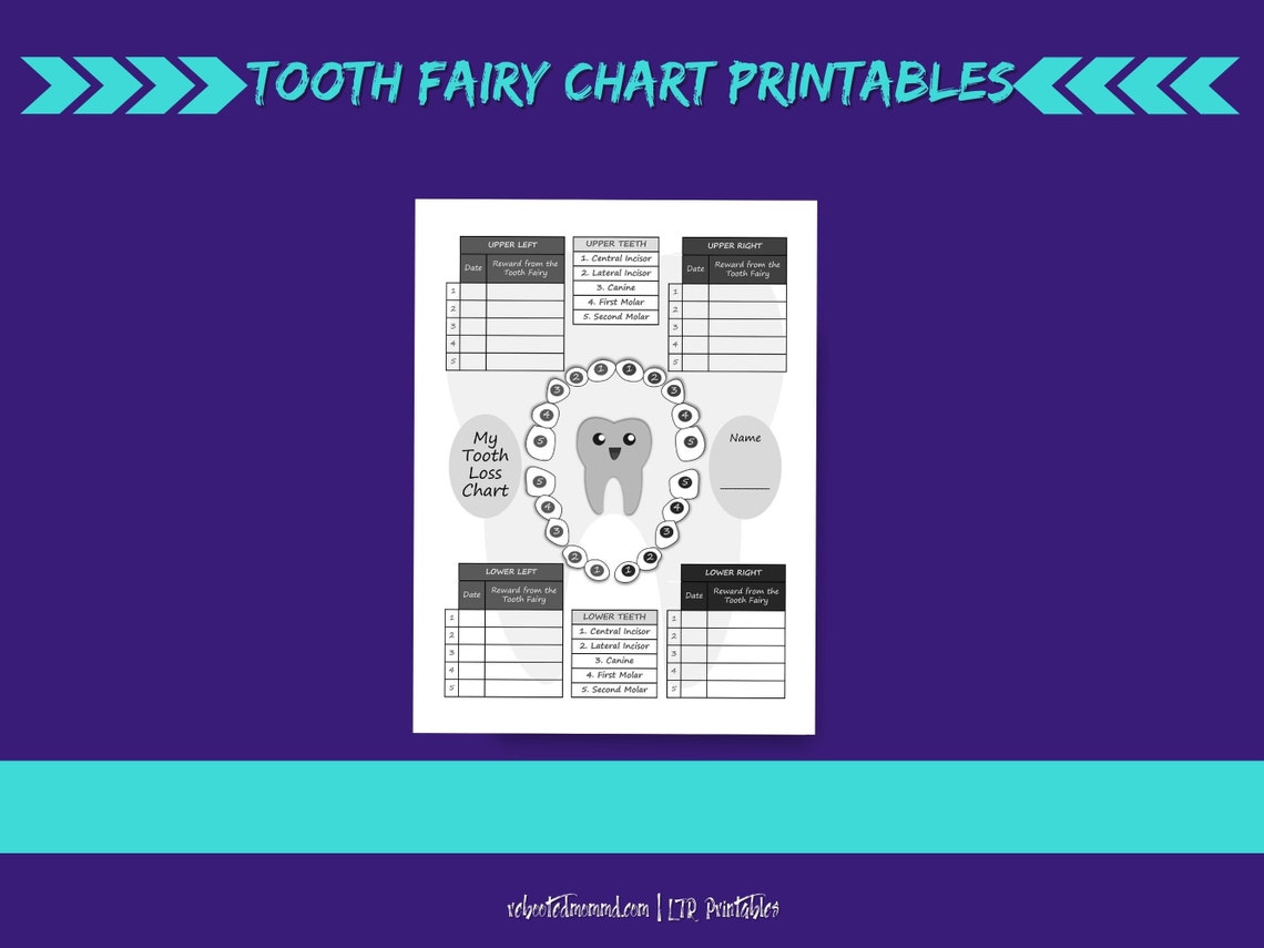 Tooth Fairy Chart Printables Tooth Fairy Kit Baby Tooth - Etsy