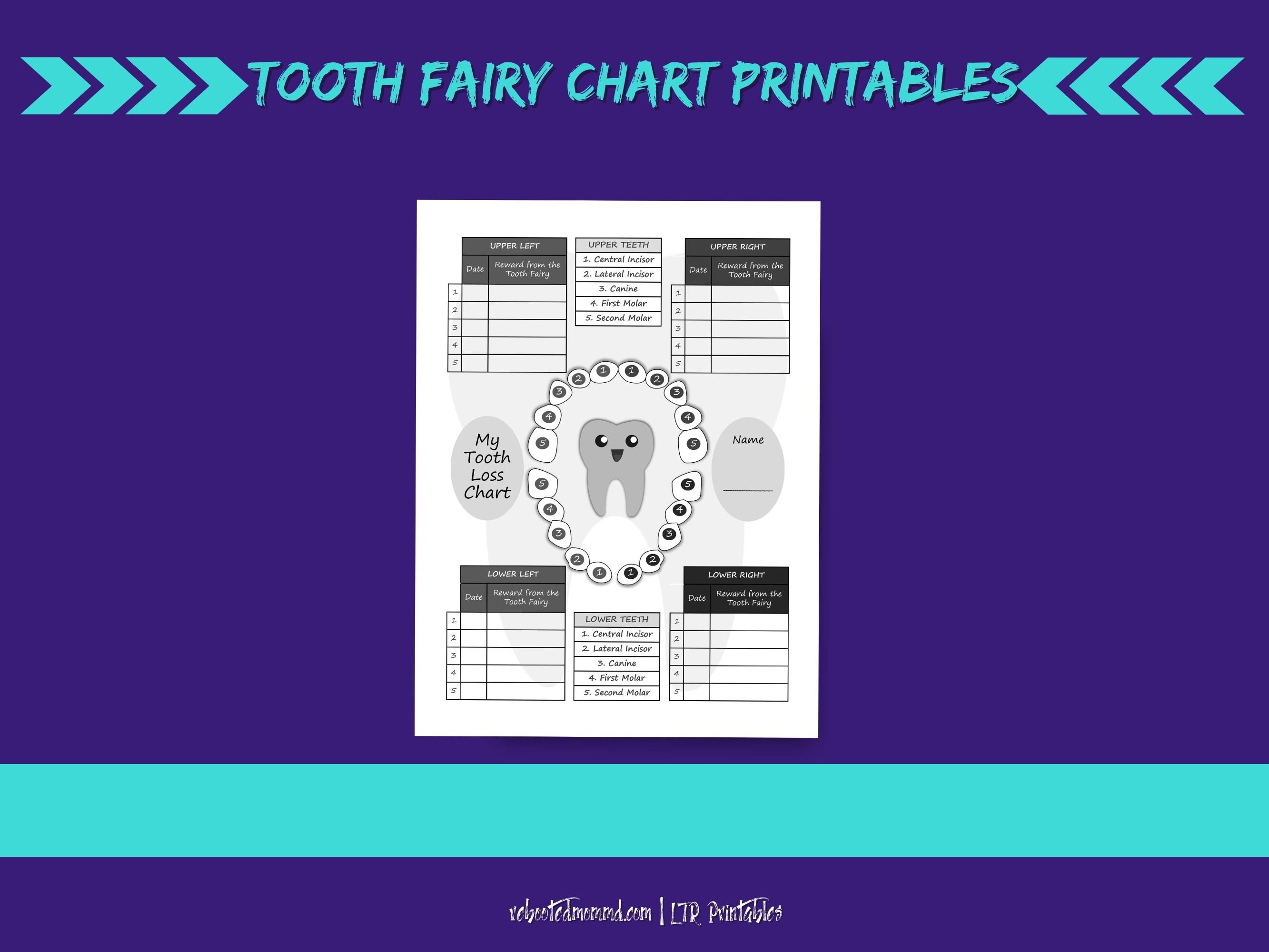 Tooth Fairy Tracker Printables | Letter & Chart (digital Download) - Etsy