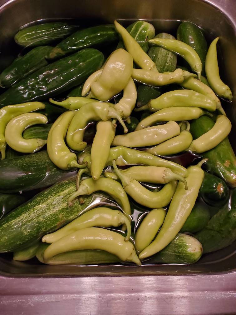 Cornichons épicés à l'aneth faits maison - Etsy France