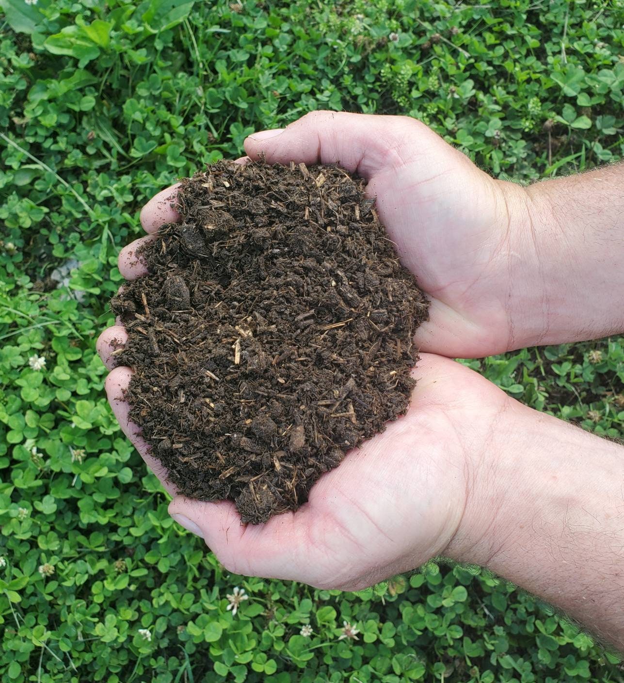 Organic Plant Fertilizer, Slow Release Micronutrients, Biodegradable ...