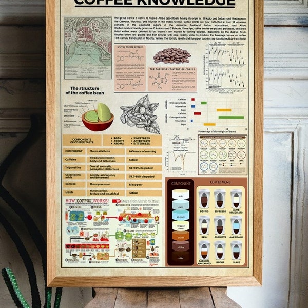 Coffee Knowledge Poster - Etsy
