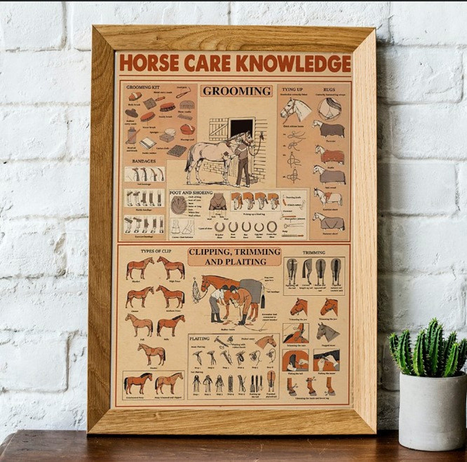Horse Care Knowledge Horse Breeds Horse Knowledge Poster - Etsy